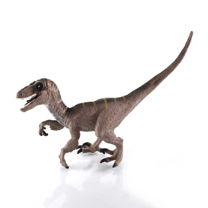 Velociraptor Dinosaur Figure – Yazoo toys