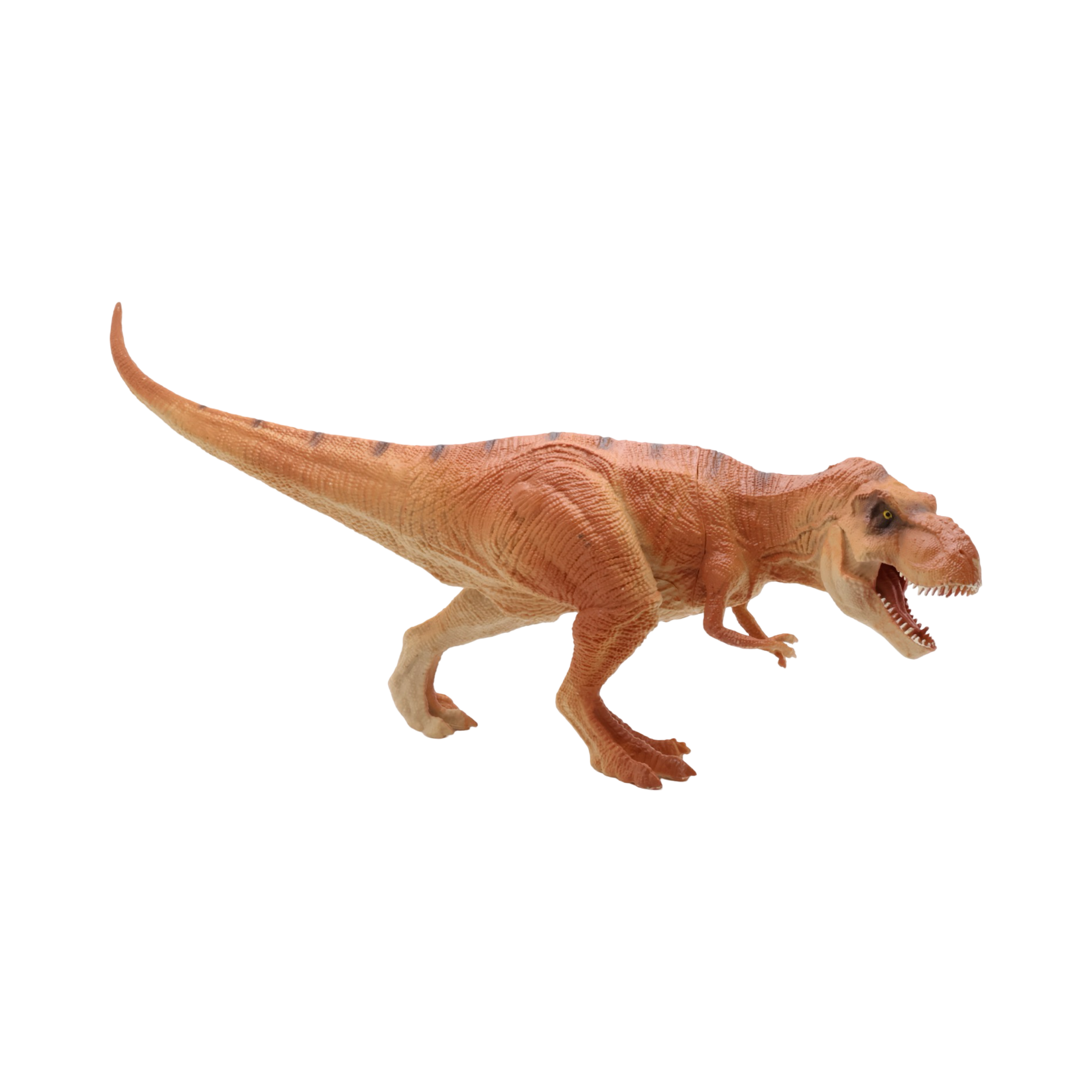 Tyrannosaurus Rex $9.99 Value Series 14” Size – Yazoo toys