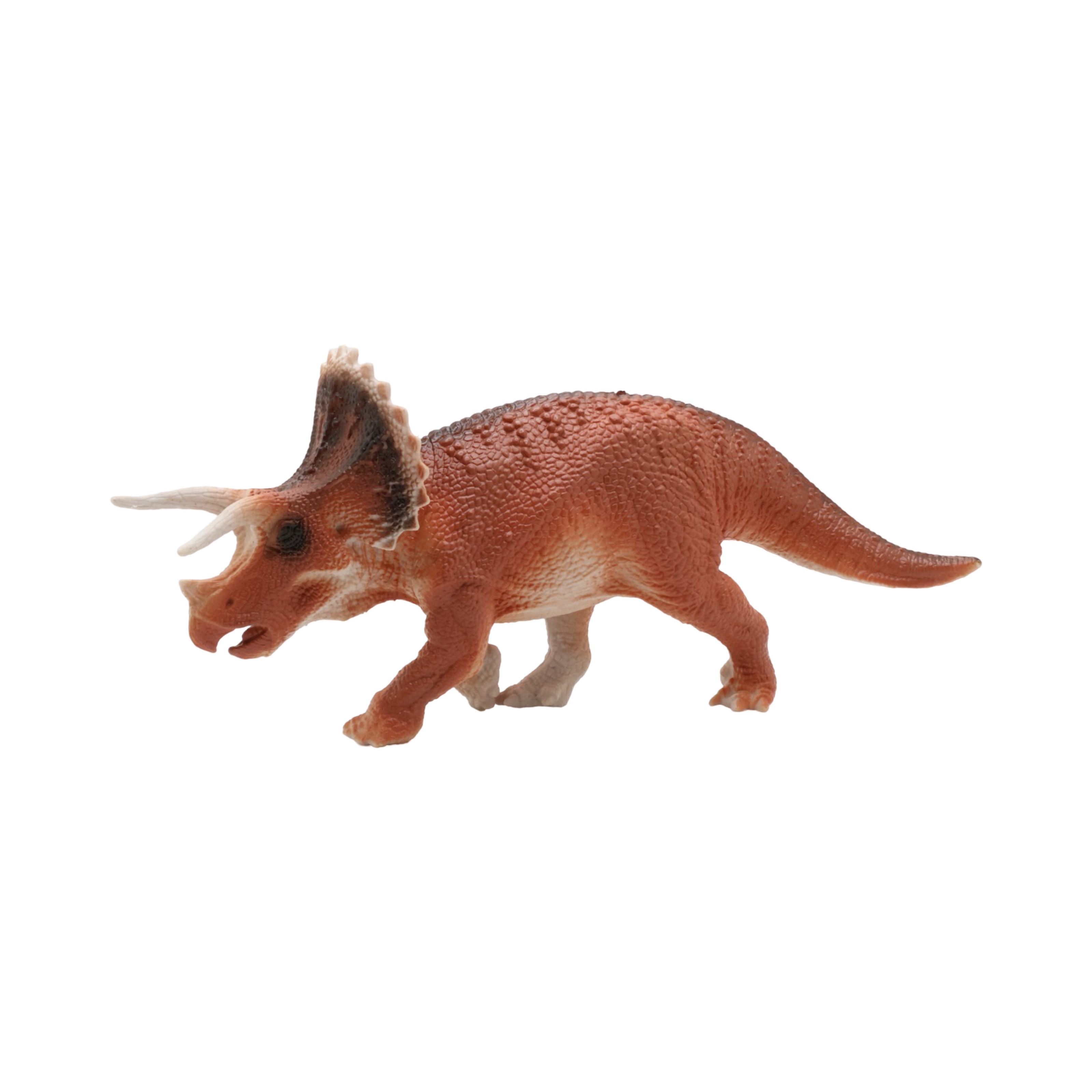 Triceratops $9.99 Value Series 8” Size – Yazoo toys