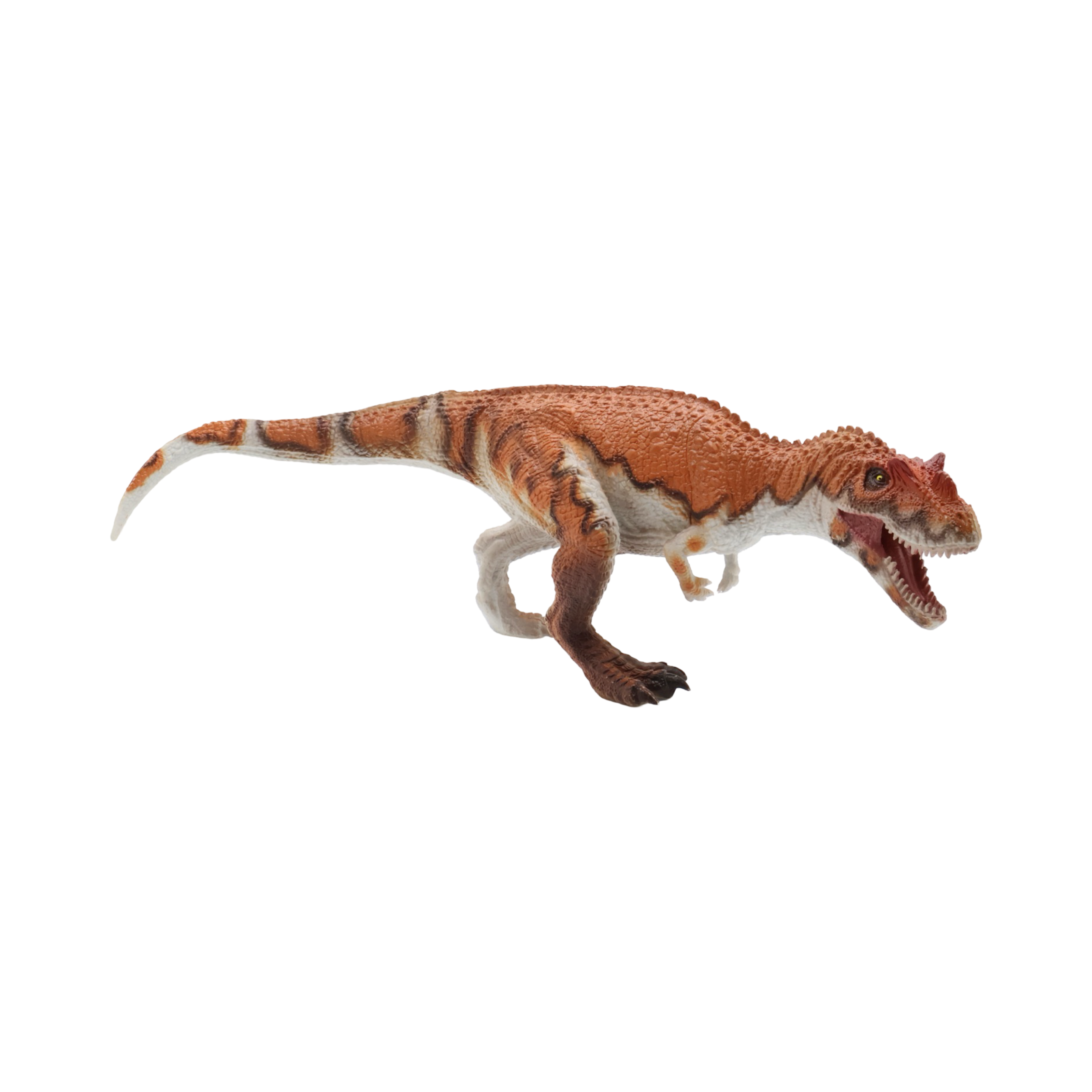 Ceratosaurus $9.99 Value Series 11” Size – Yazoo toys